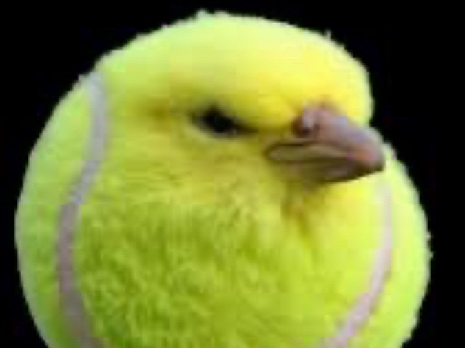 Printerman | Collections - MakerWorld