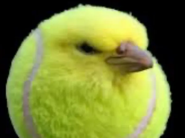 Printerman | Collections - MakerWorld