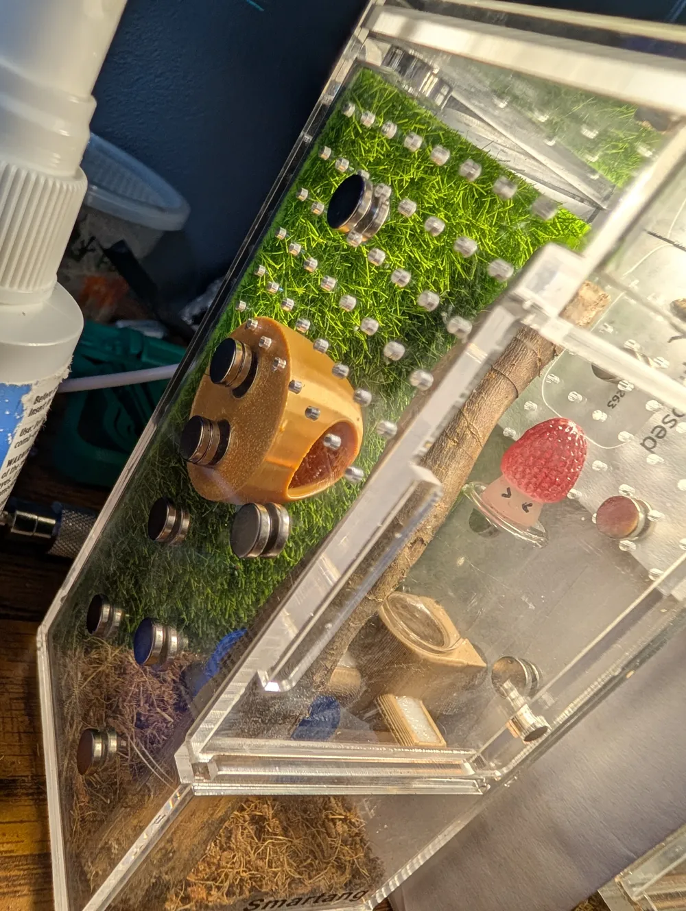 Jumping spider hide by Noidea MakerWorld: Download Free 3D Models